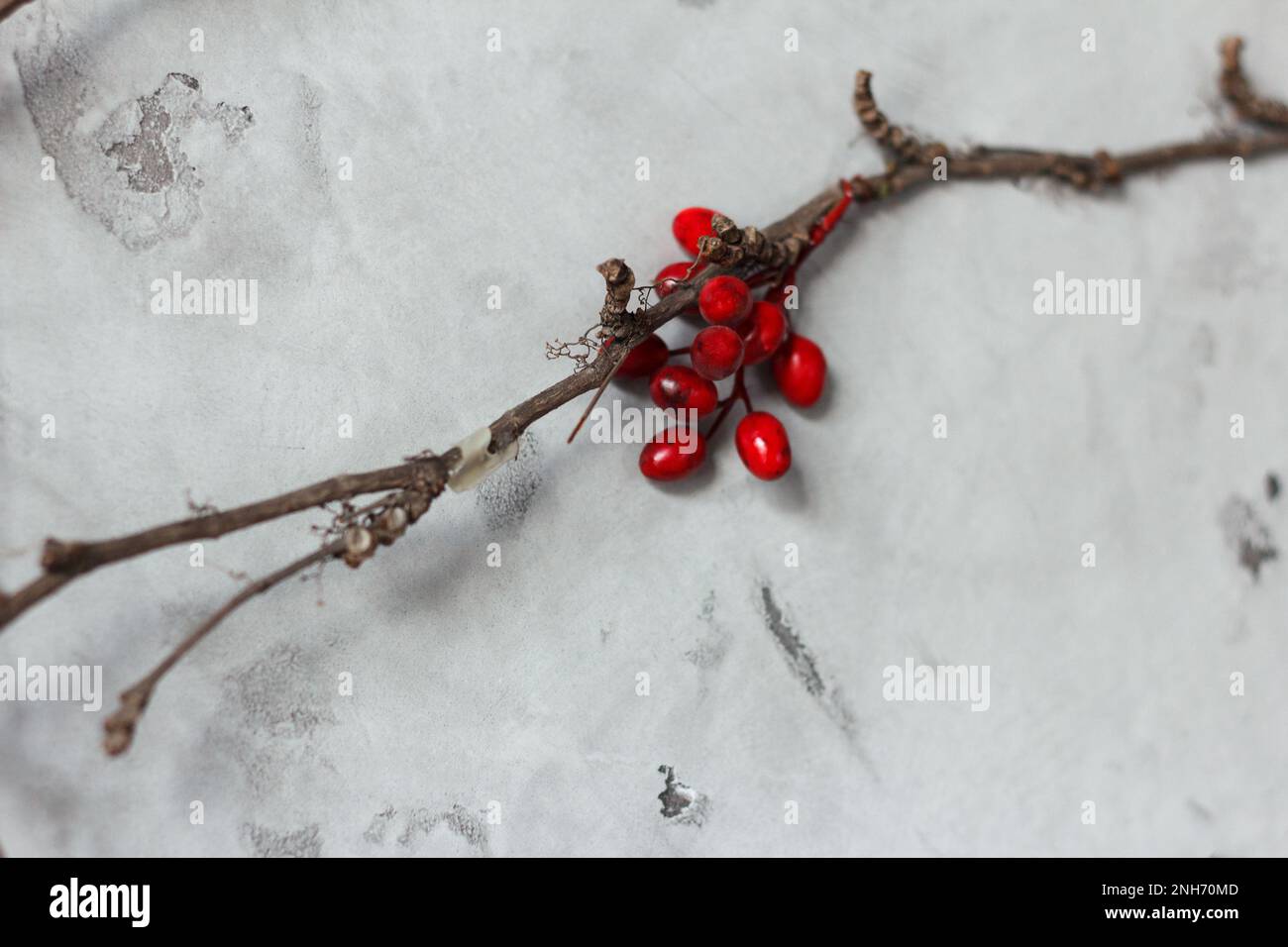 A decorative beautiful wall indoors, twigs with bright artificial ...