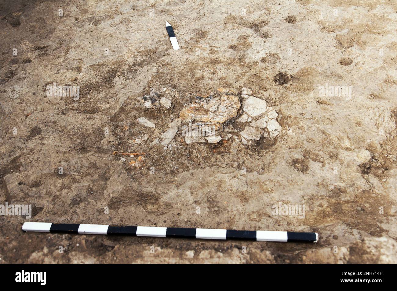 Archaeological excavations, archaeologists work, excavate an ancient ... Archaeological excavations, archaeologists work, excavate an ancient ...