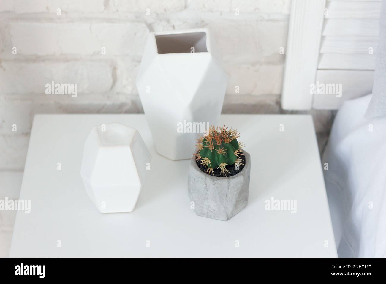 A houseplant from the cactus family, planted in a gray vase, lies on a ...
