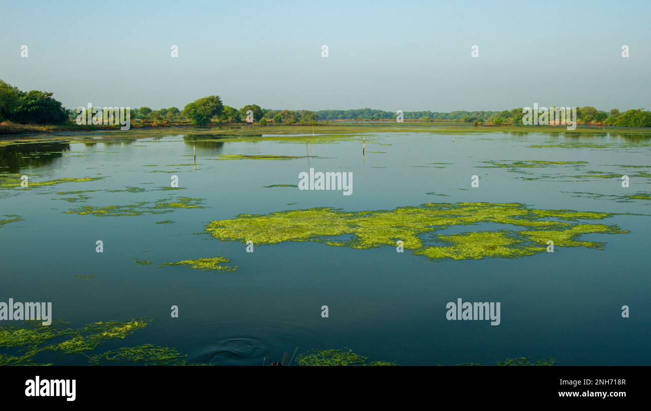Spring and Summer background of lake in Indonesia Stock Photo - Alamy