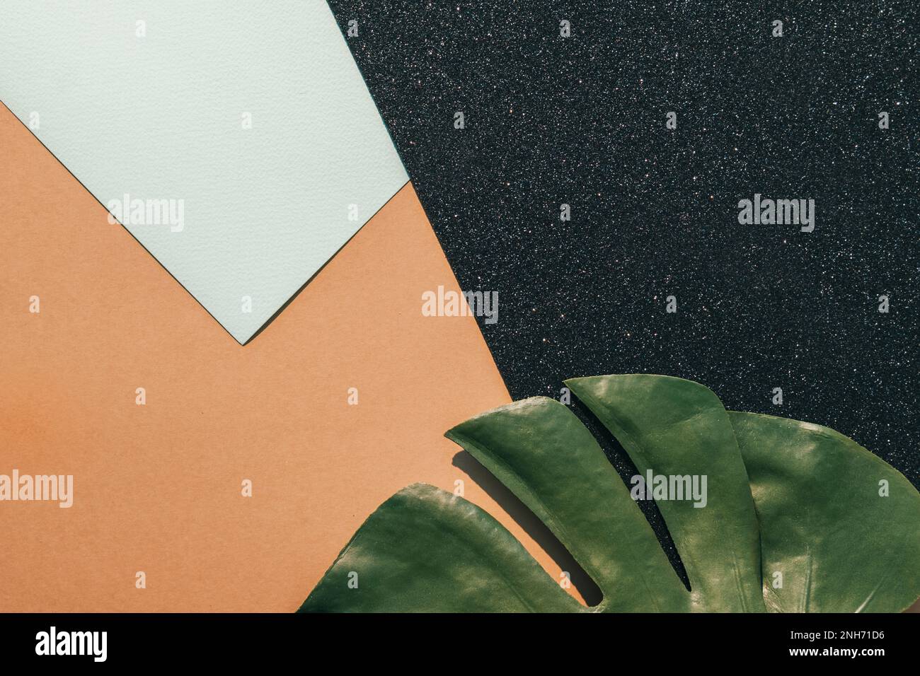 Color block. Floral background. Foliage layout. Tropical green palm ...