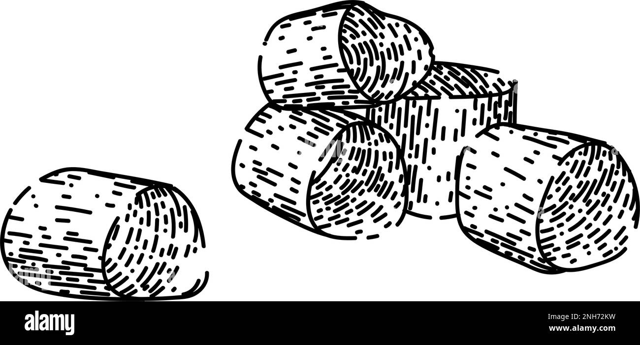 Fresh green spring onion Black and White Stock Photos & Images - Alamy