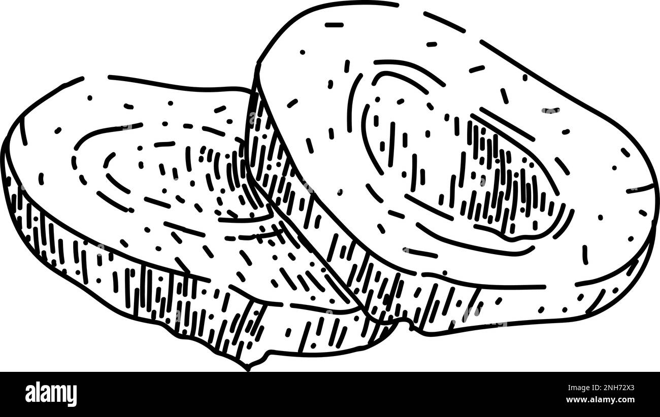 ginger slice raw sketch hand drawn vector Stock Vector Image & Art - Alamy