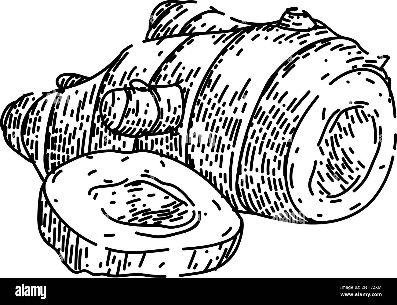 ginger cut root sketch hand drawn vector Stock Vector Image & Art - Alamy ginger cut root sketch hand drawn vector Stock Vector Image & Art - Alamy