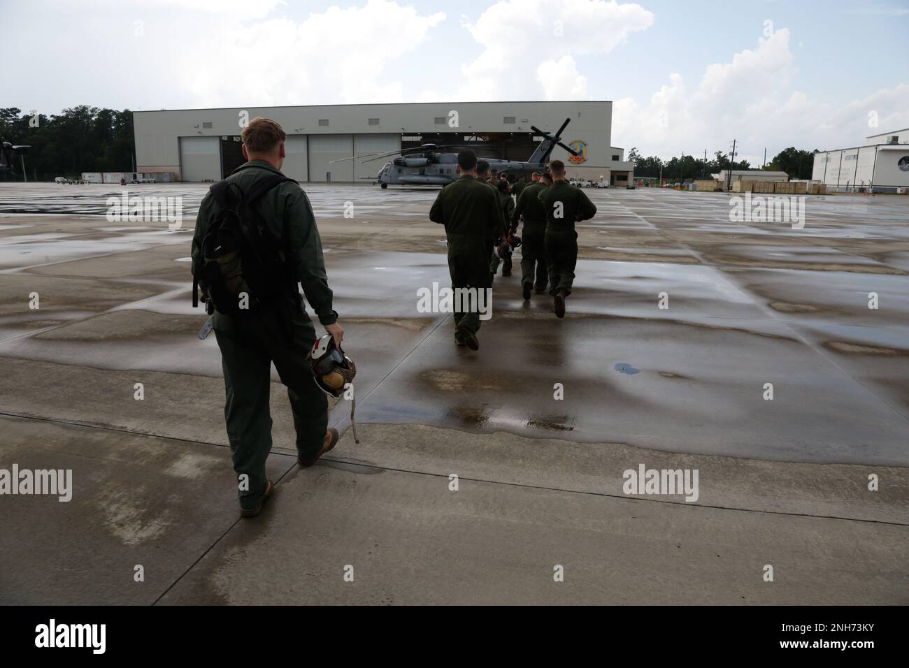 U.S. Marines assigned to Marine Aviation Logistics Squadron (MALS) 29 ...