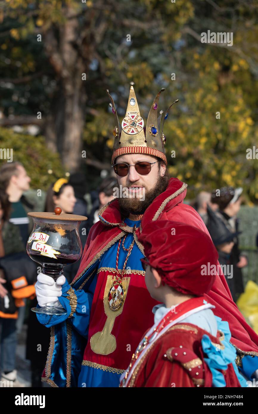 A Colorful Showcase: Capturing the Carnival Parade and Its Costumed ...