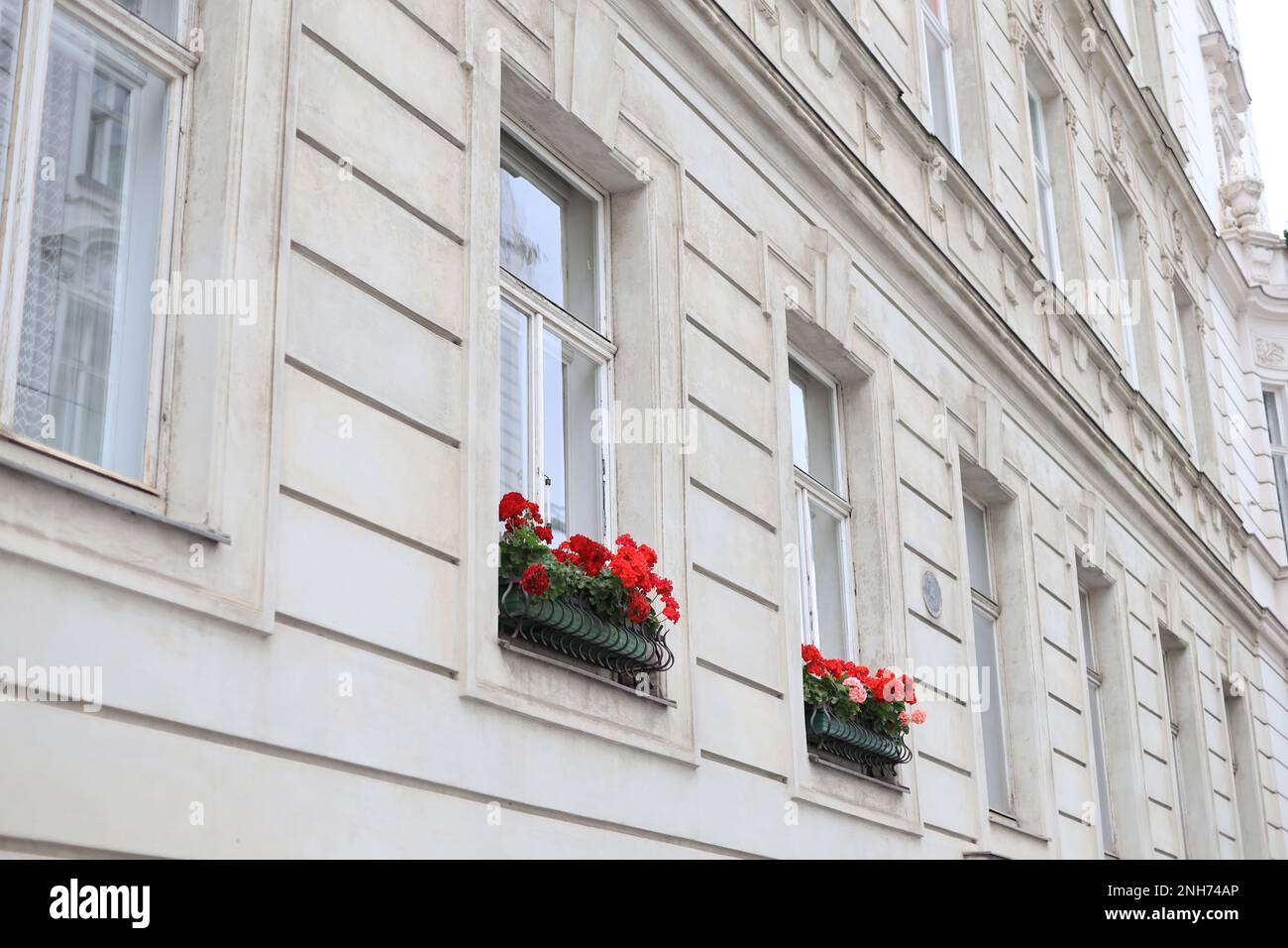 Life in Vienna Stock Photo - Alamy