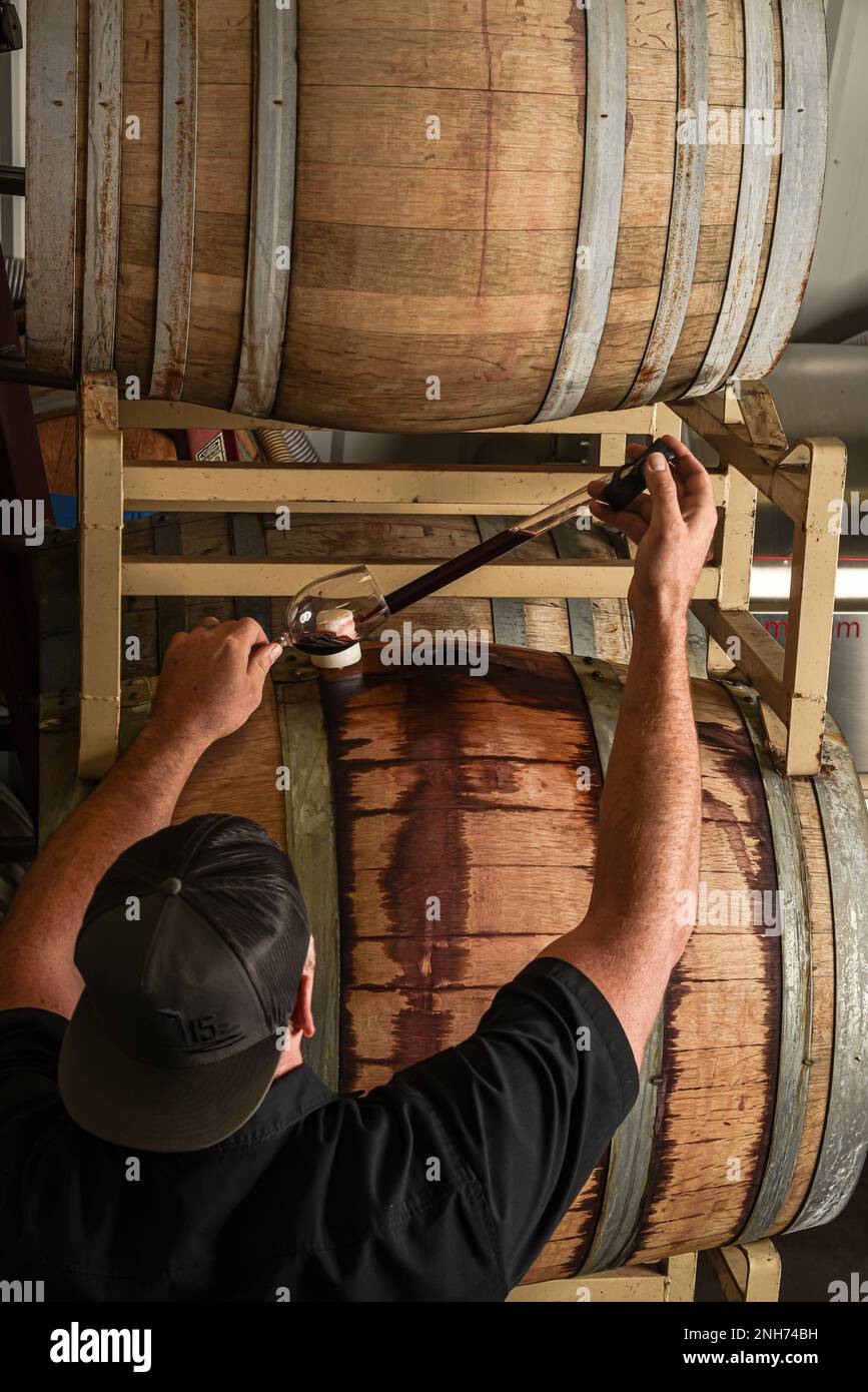 A man pouring wine from a barrel into a glass with a special equipment ...