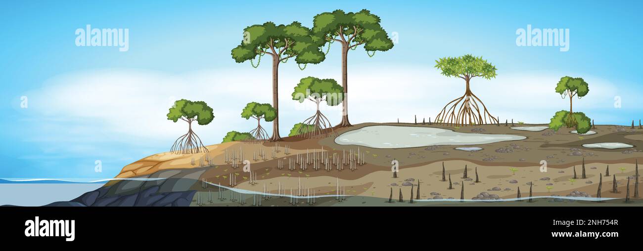 Mangrove forest outdoor background illustration Stock Vector Image ...