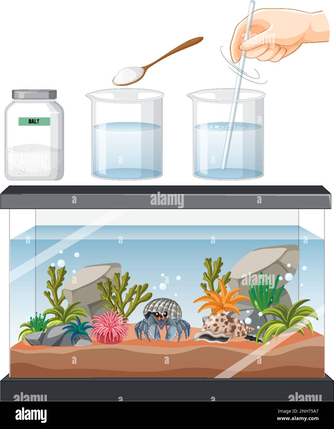 Aquarium tank with fishes and decorations on white background ...