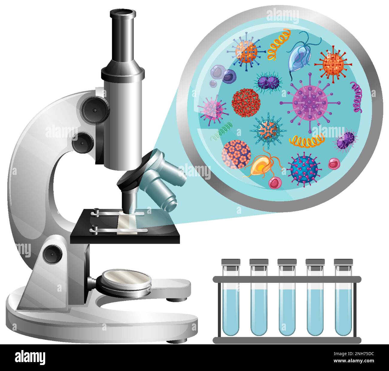 Microscope image of bacteria Stock Vector Images - Alamy