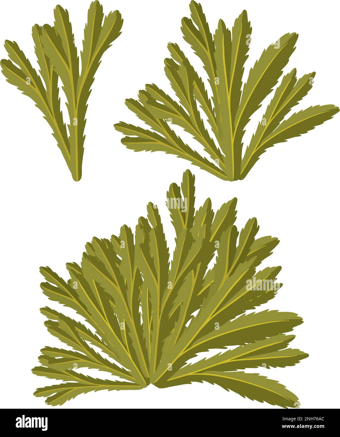 Toothed wrack cartoon isolated illustration Stock Vector Image & Art ...