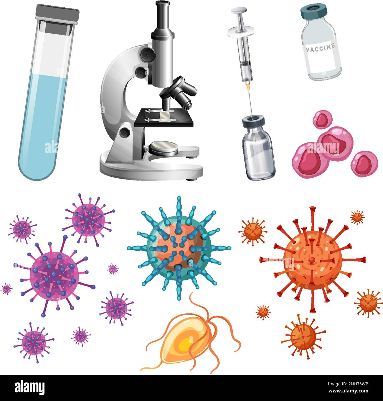 Bacteria Germs and Viruses Collection illustration Stock Vector Image ...