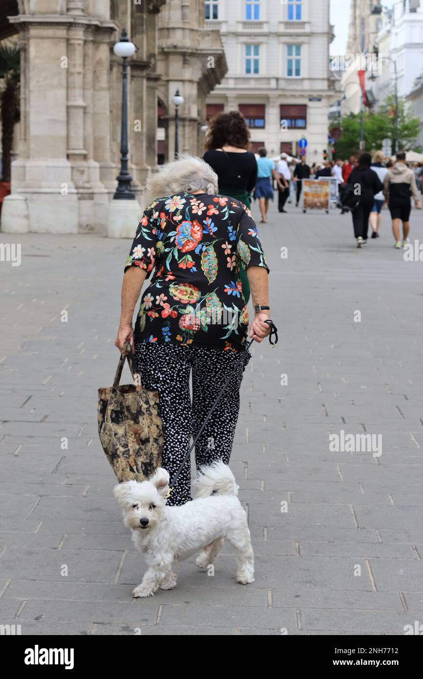 Life in Vienna Stock Photo - Alamy