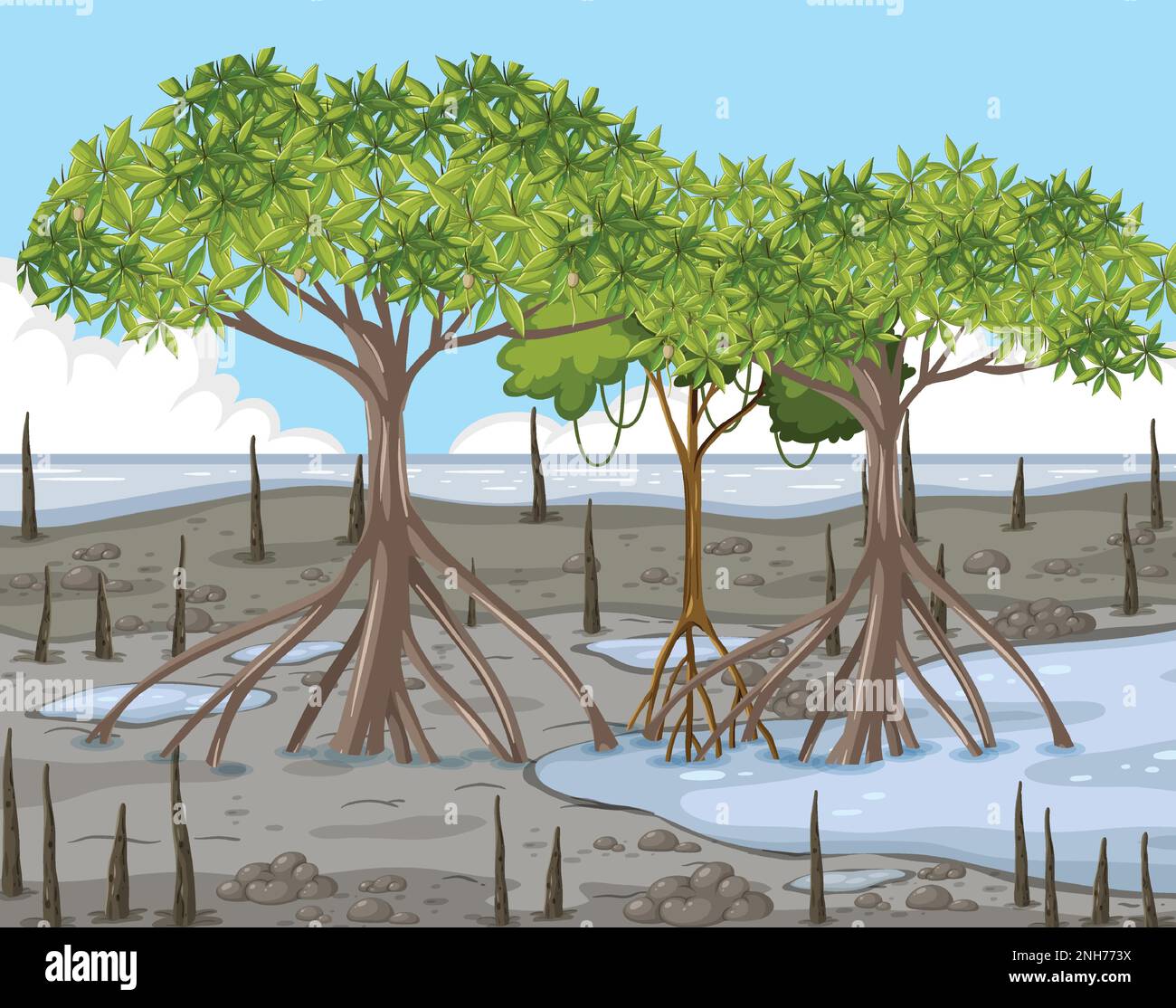 Mangrove forest landscape scene illustration Stock Vector Image & Art ...