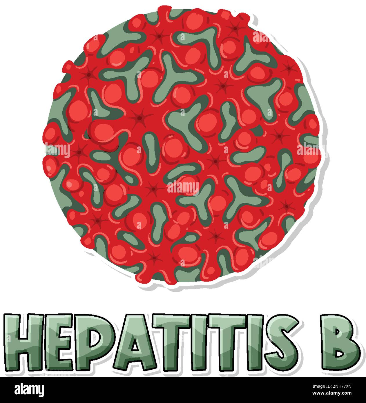 Hepatitis B virus (HBV) on white background illustration Stock Vector ...