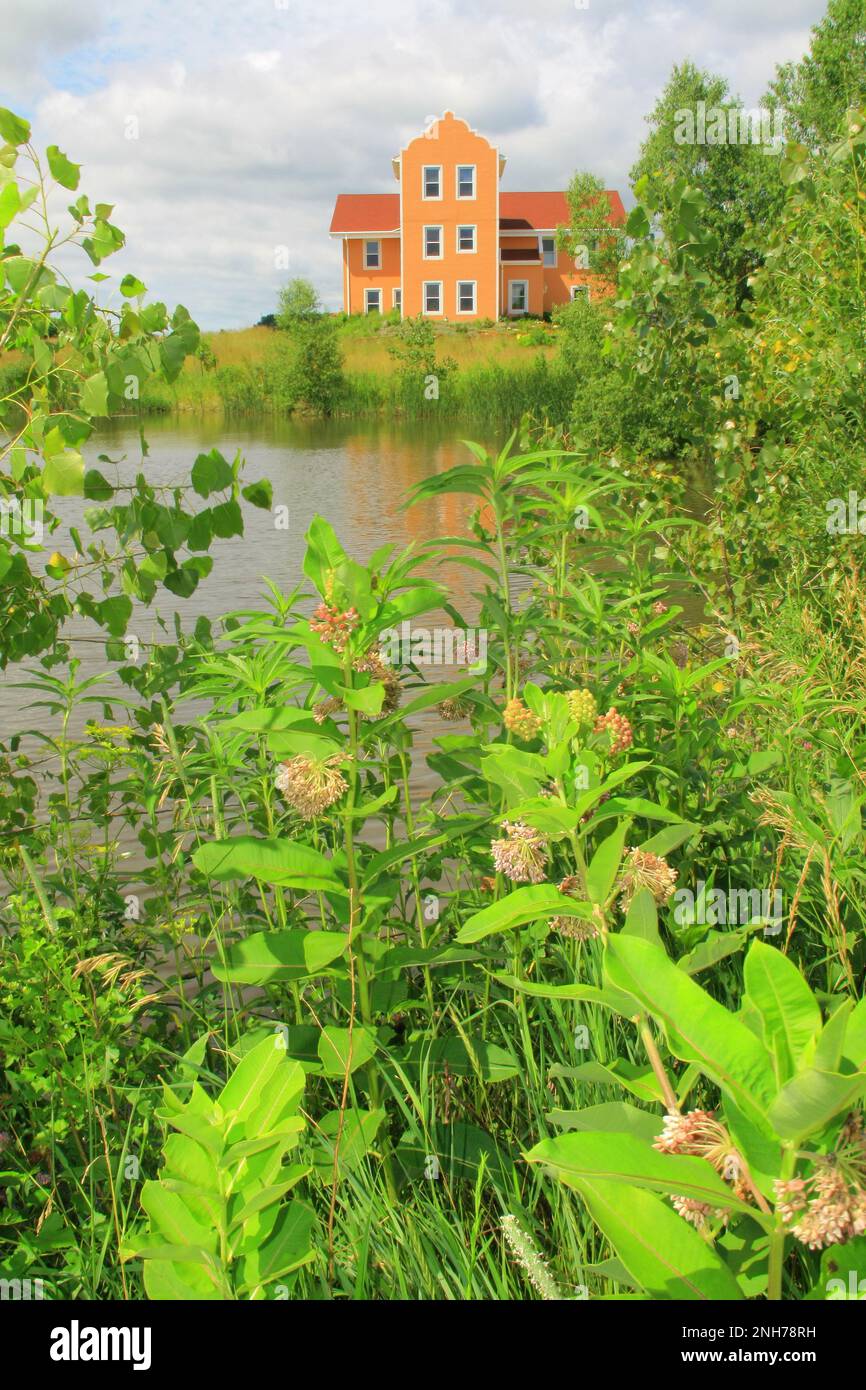 Swamp bed hi-res stock photography and images - Alamy
