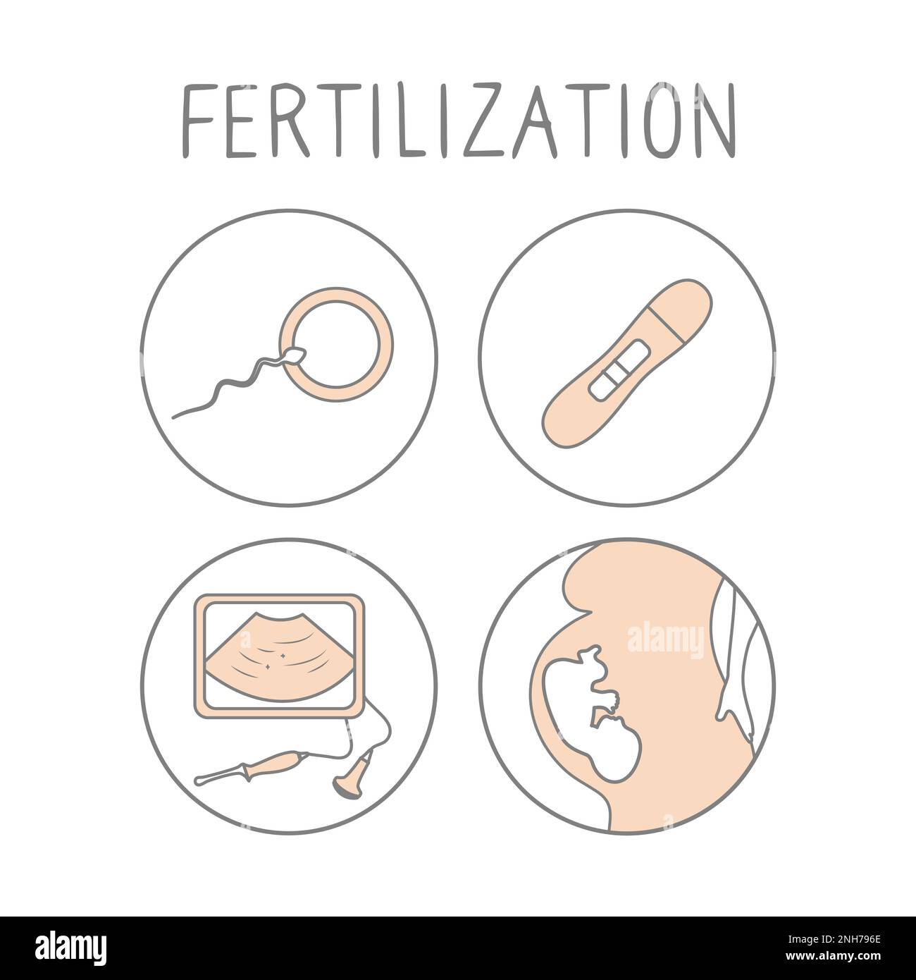 Fertilization icon set. Linear simple illustration pregnancy and childbirth. Motherhood signs ...