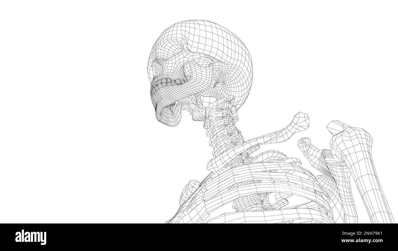 Human skeleton. 3d illustration Stock Photo - Alamy