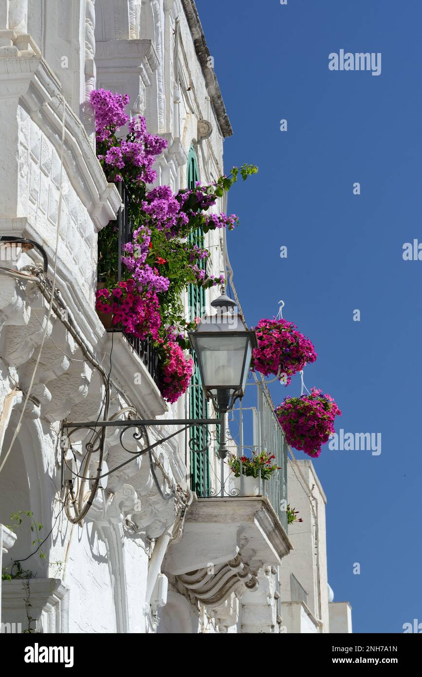 The light and the flowers of Cisternino (Puglia Stock Photo - Alamy
