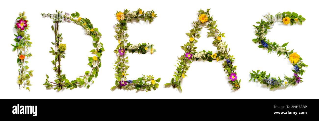 Blooming Flower Letters Building English Word Ideas Stock Photo - Alamy