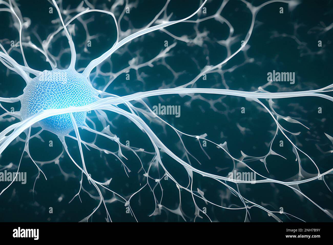 Neuron images hi-res stock photography and images - Alamy