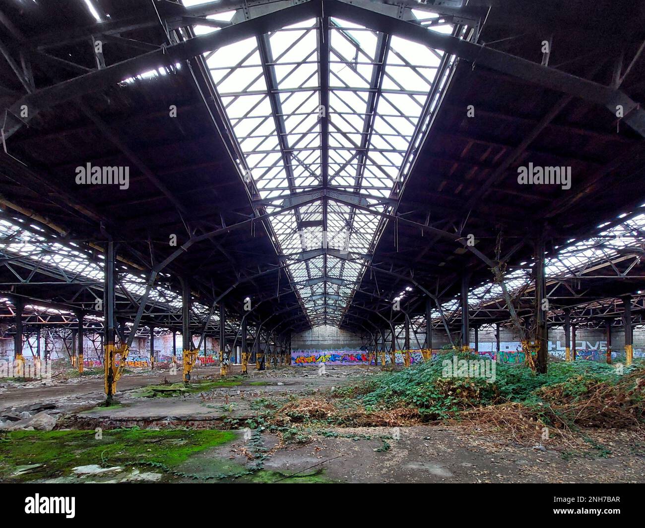 Huge abandoned factory with damaged skylight roof and blackberry bushes ...