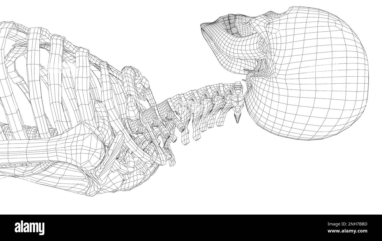 Human skeleton. 3d illustration Stock Photo - Alamy