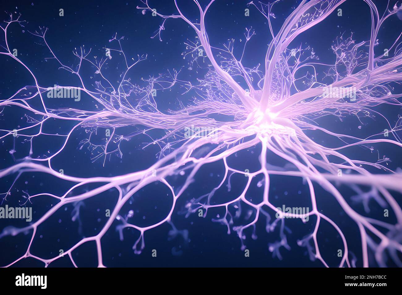 Neuron images hi-res stock photography and images - Alamy