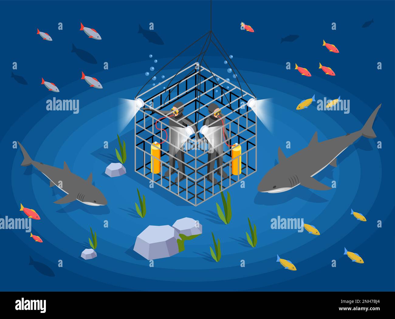 Metal cage underwater hi-res stock photography and images - Alamy