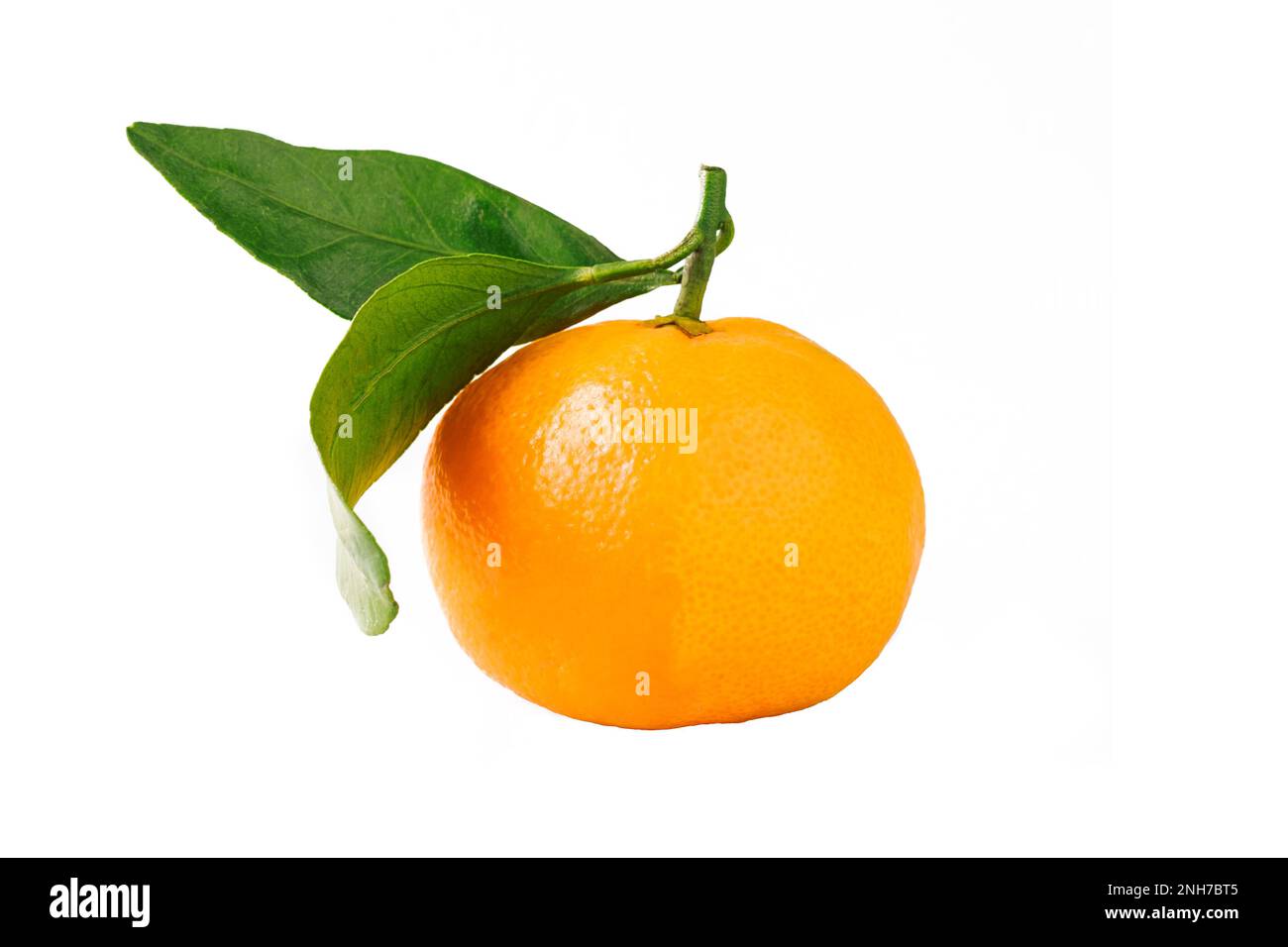 Fresh mandarin with a branch and green leaves isolated on a white ...
