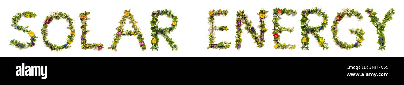 Blooming Flower Letters Building English Text Solar Energy Stock Photo ...