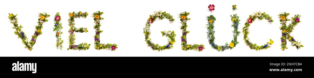 Blooming Flower Letters Building German Text Viel Glueck Means Good ...
