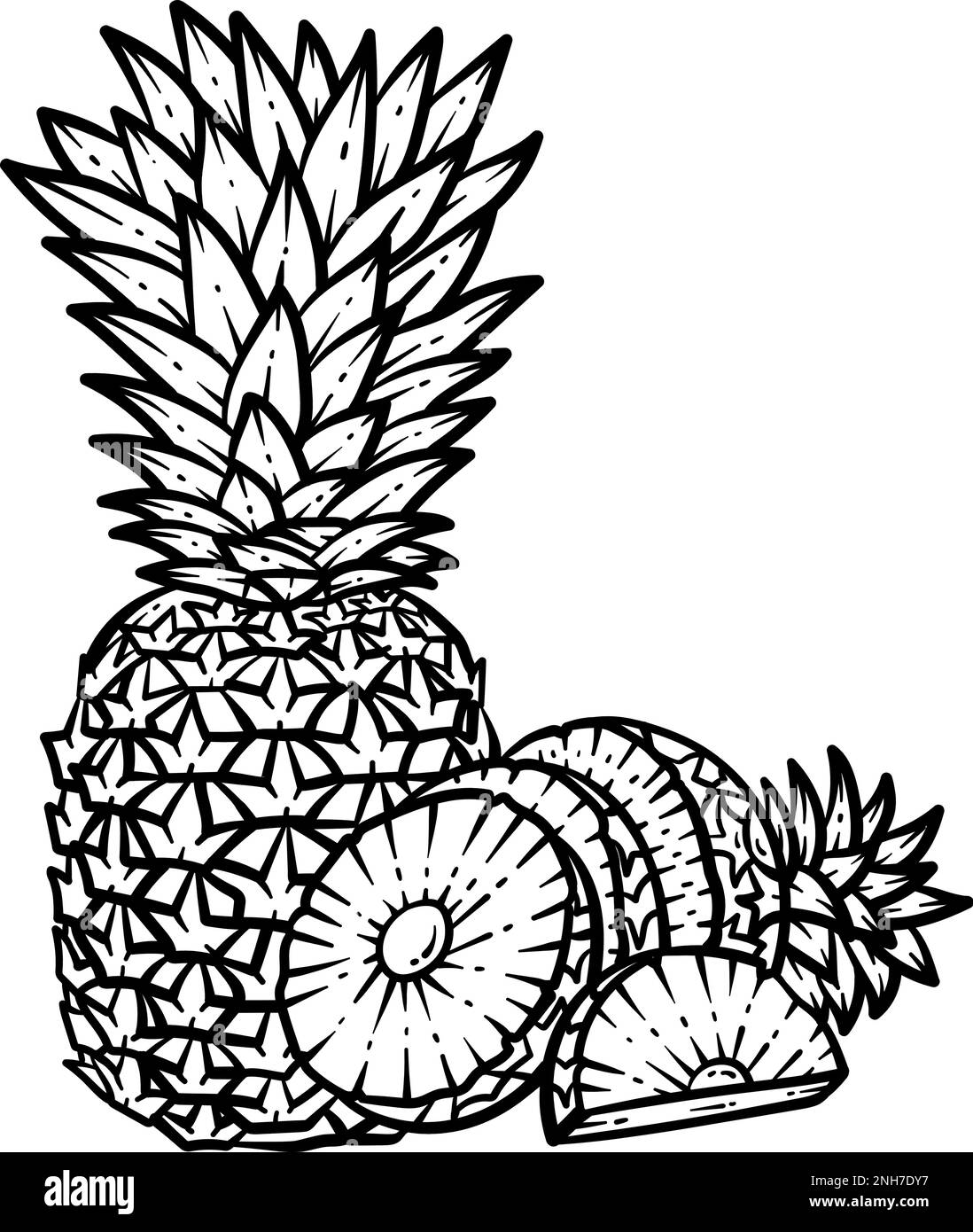 Pineapple line drawing hi-res stock photography and images - Alamy