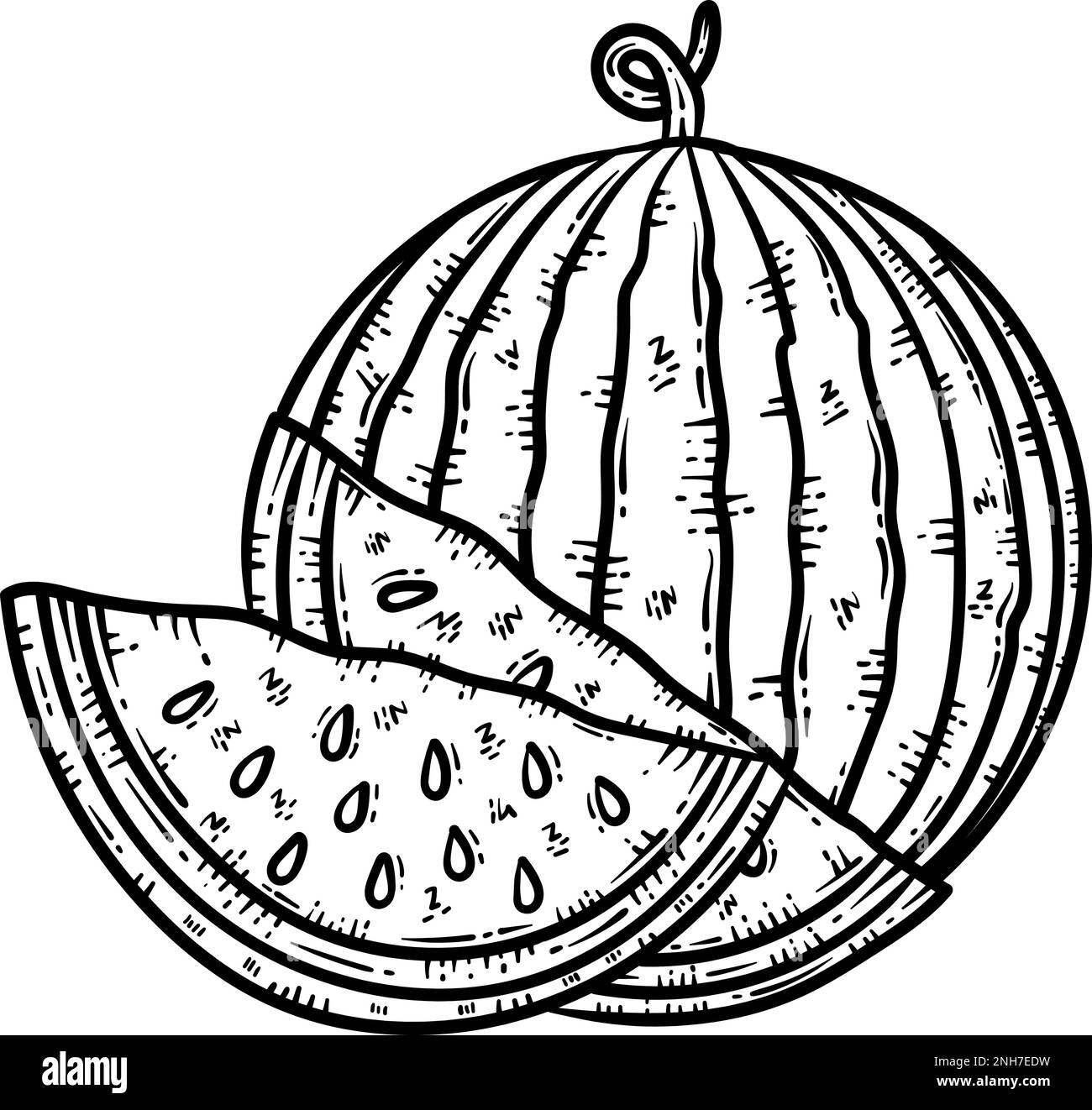 Watermelon colour Stock Vector Images - Alamy