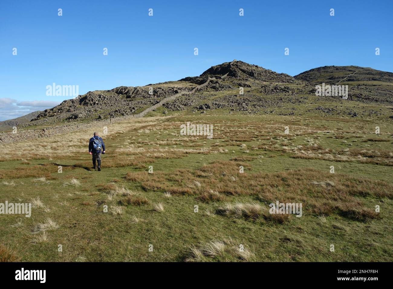 Man Walking to 'Little Gowder Crag' and the Wainwright 'Haycock' from ...