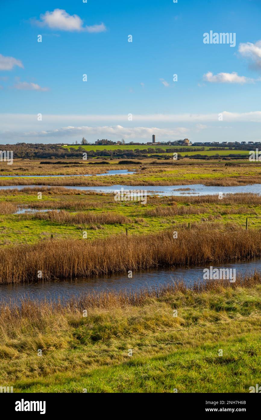 The sea wall and farmland on the Naze. Walton on the Naze, Essex Stock ...