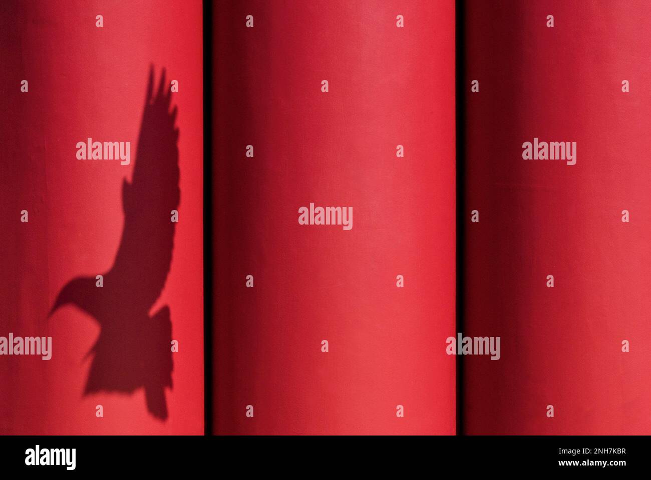 A dove shadow reflected on a red columns wall, Bangkok, Thailand Stock ...