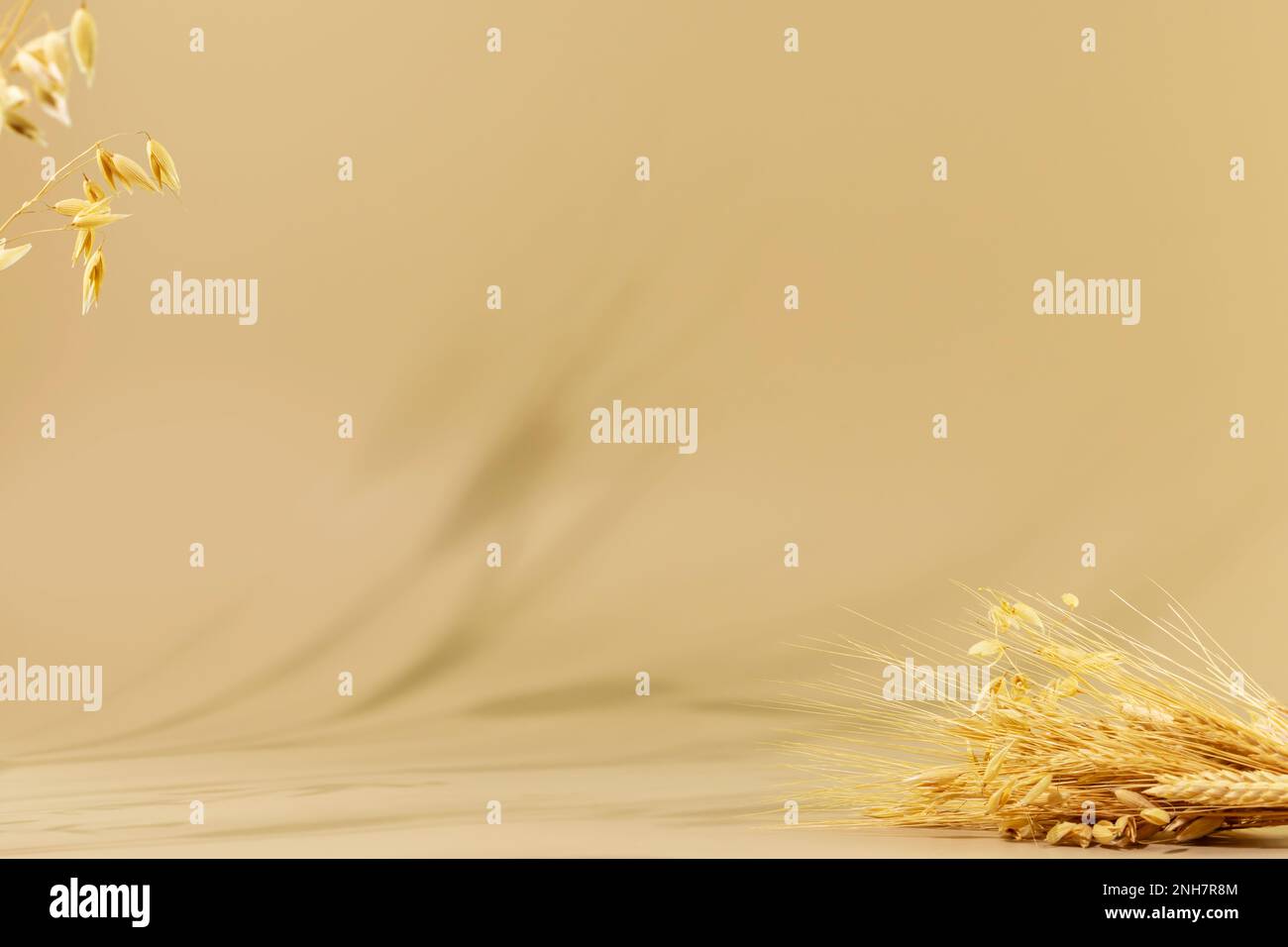 Minimal abstract background for the presentation of products. Natural ...