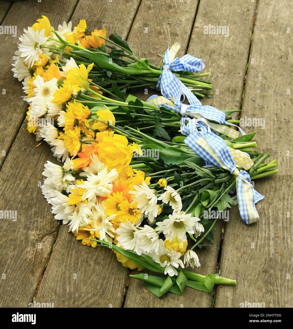 Wedding bouquets of daisy flowers tied with blue gingham ribbon on a ...