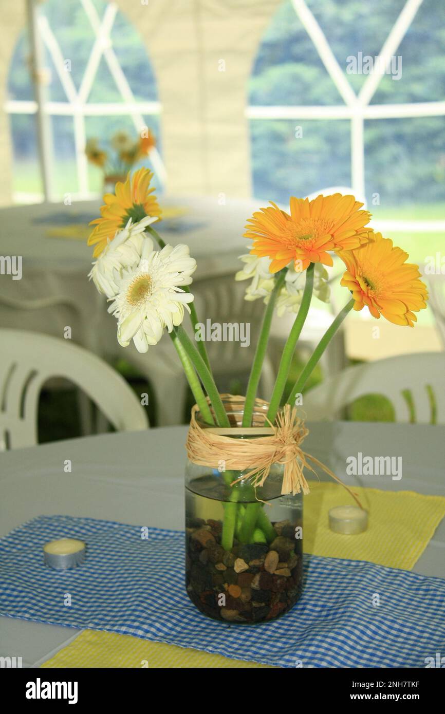 Cut gerbera daisies in mason jars used as a centerpiece at a wedding ...