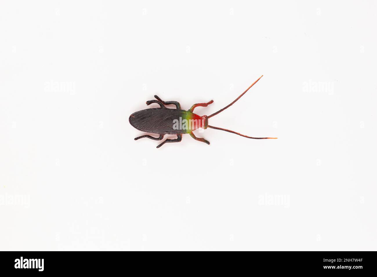a figurine cockroach toy on a white background Stock Photo - Alamy