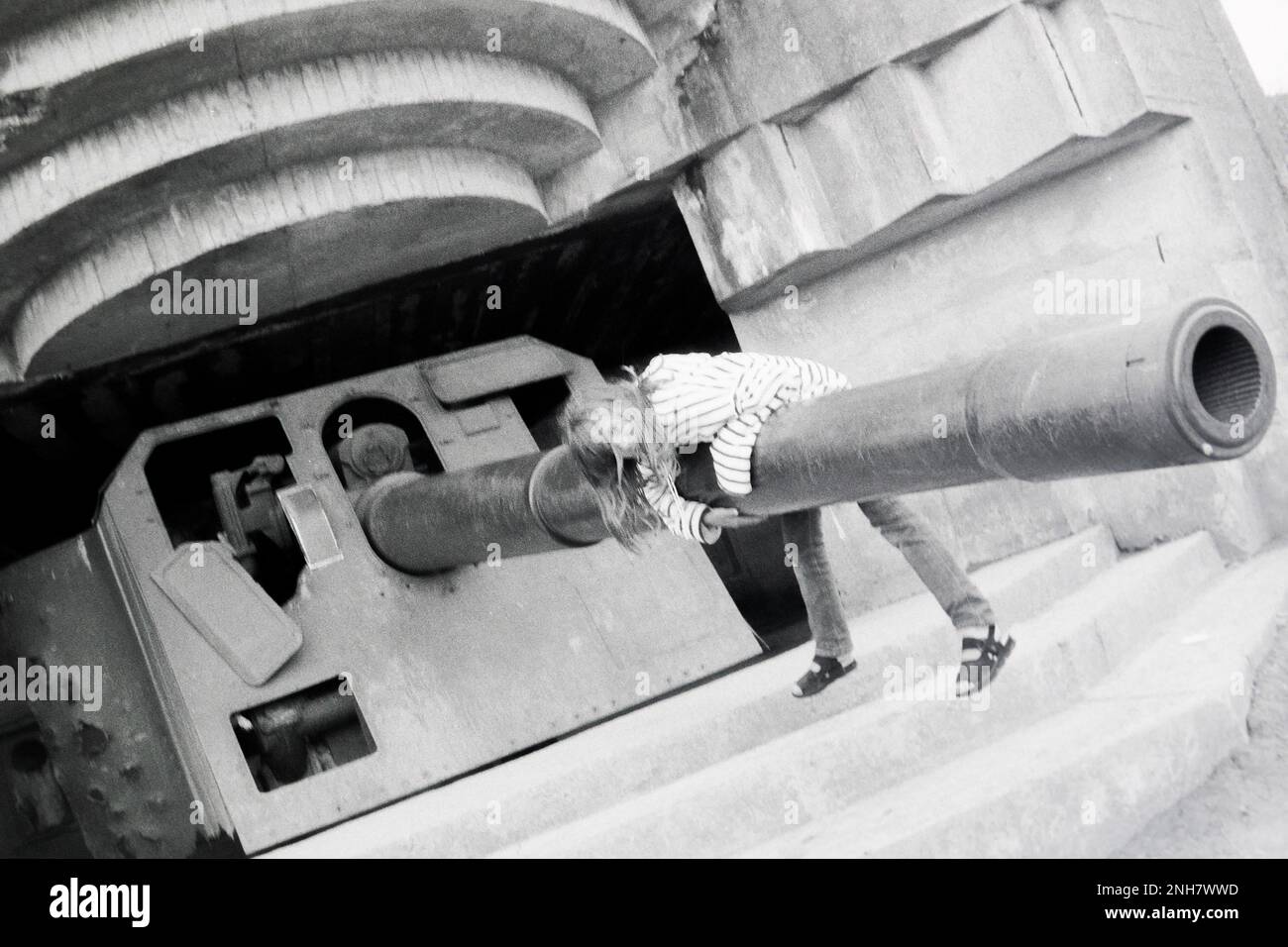 Batterie todt german gun battery hi-res stock photography and images ...