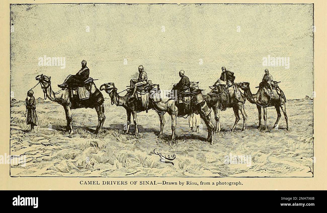 Camel Drivers of Sinai from Cyclopedia universal history : embracing ...