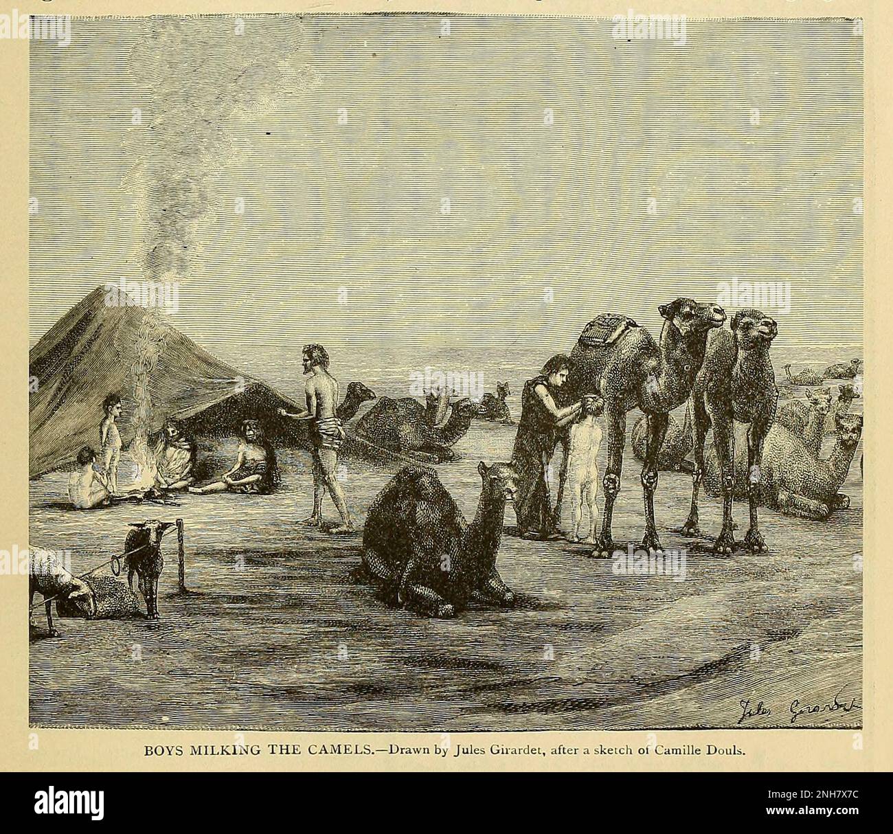 Camel milk middle east hi-res stock photography and images - Alamy