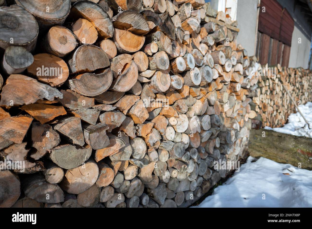 Firewood folded to dry in the yard. A mix of different types of wood ...