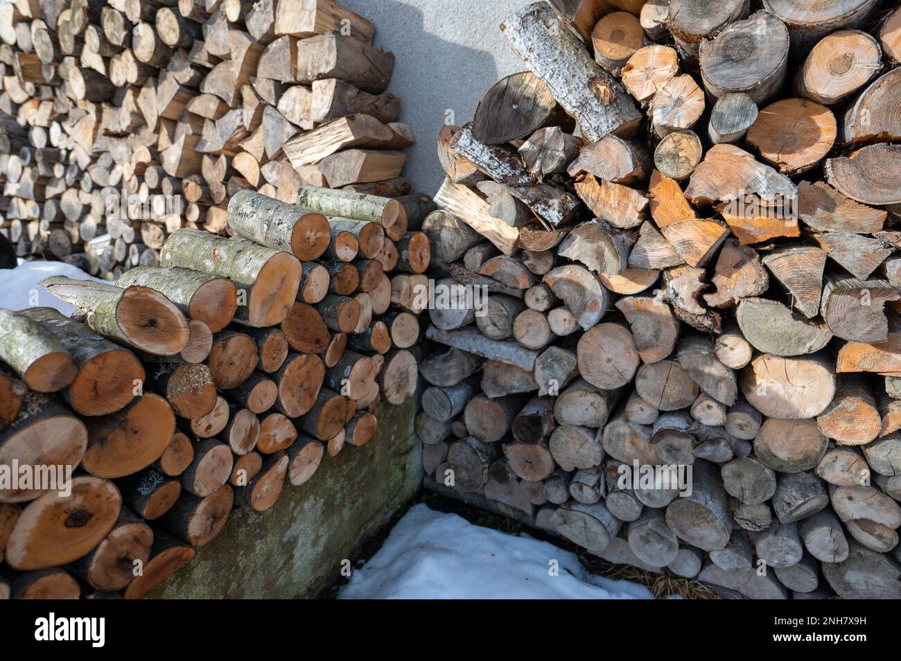 Firewood folded to dry in the yard. A mix of different types of wood ...