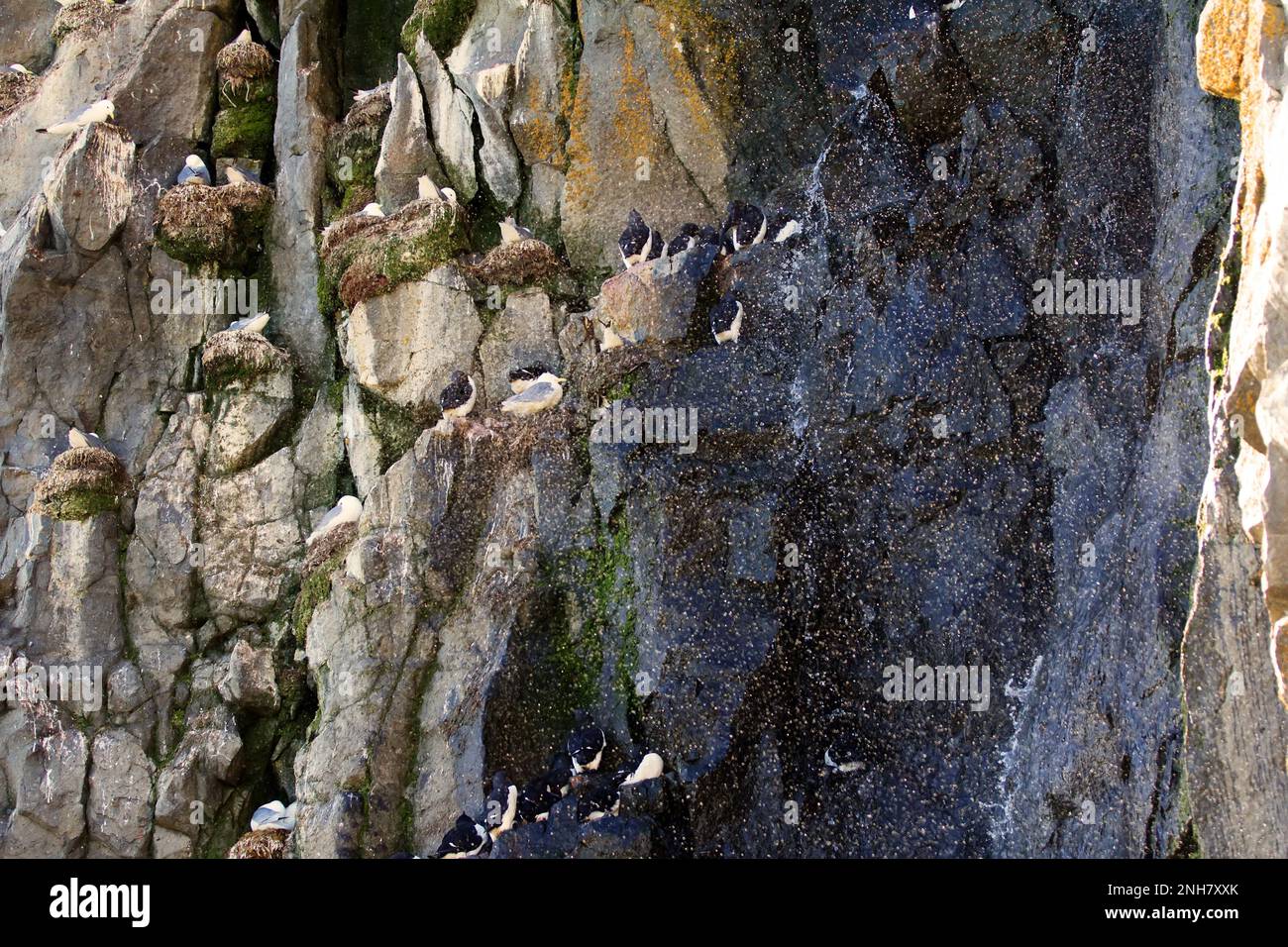 Water flows down the rocks, but an excess of moisture does not ...