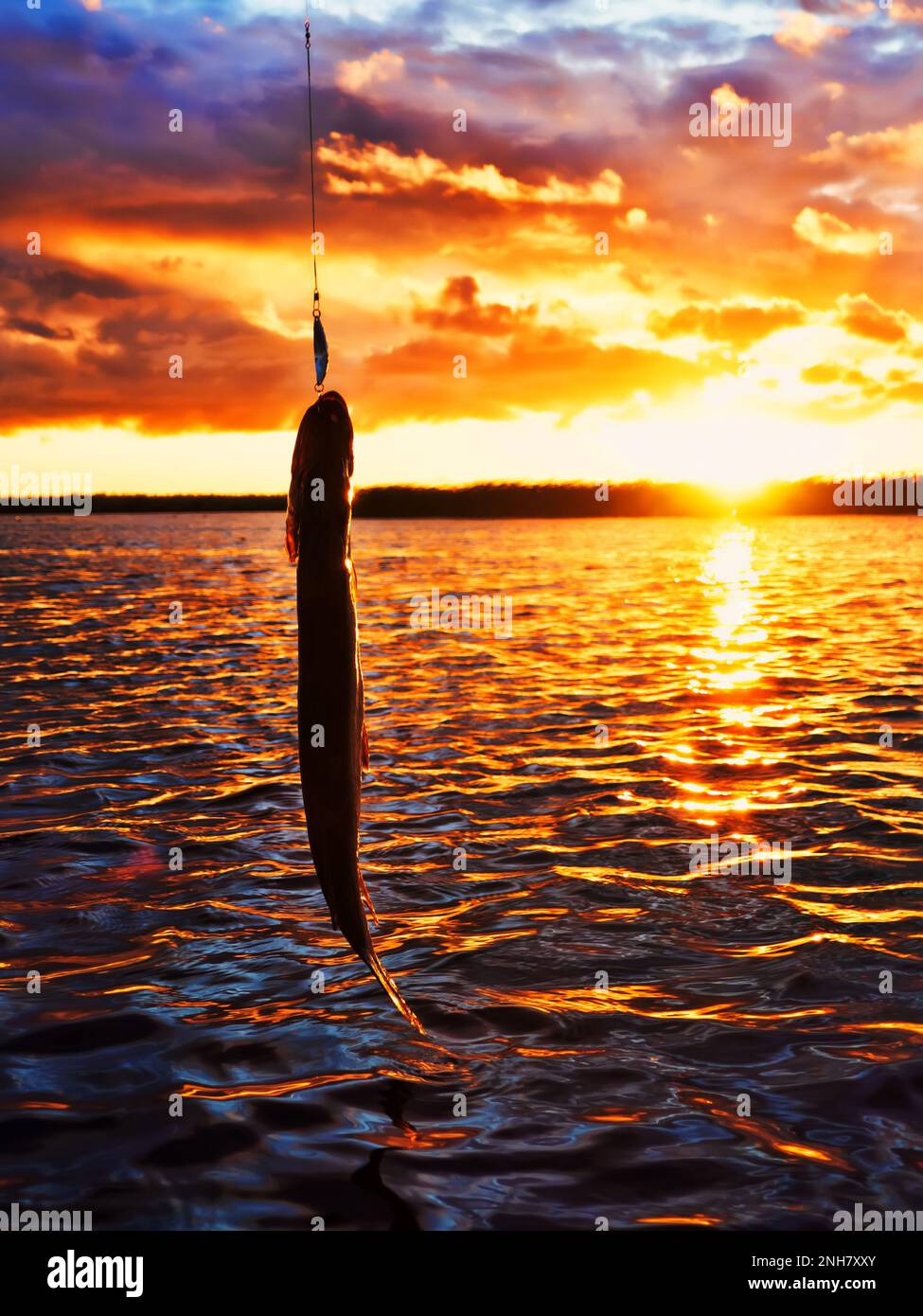 Fishing at sunset. Catching predatory fish on spinning. Sunset colors ...