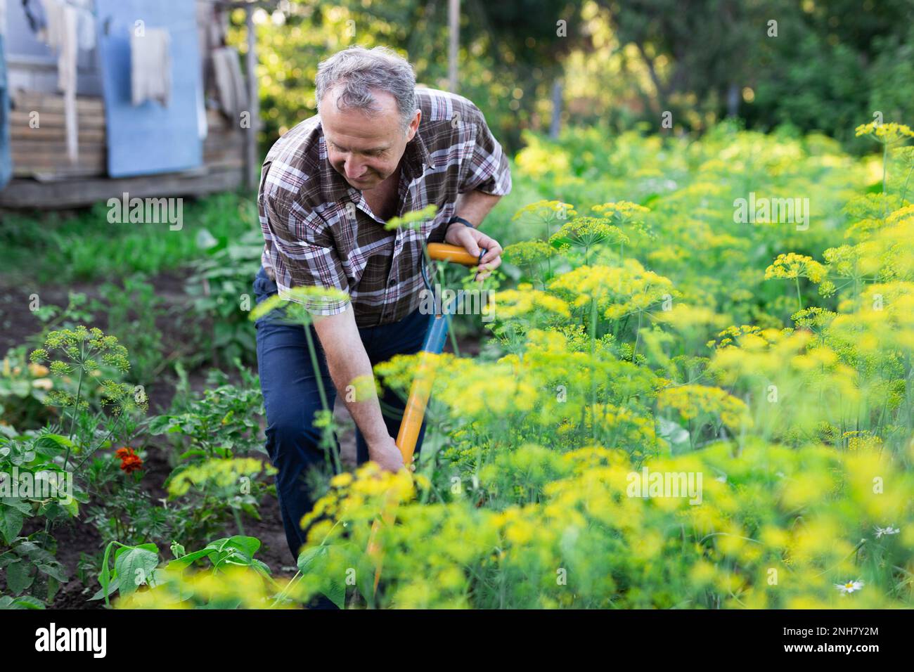 man farmer digging in his estate garden Stock Photo - Alamy